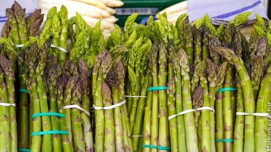 Édenkert.hu | Szezonnyitó spárgás receptek: frissen facsarva vagy ...