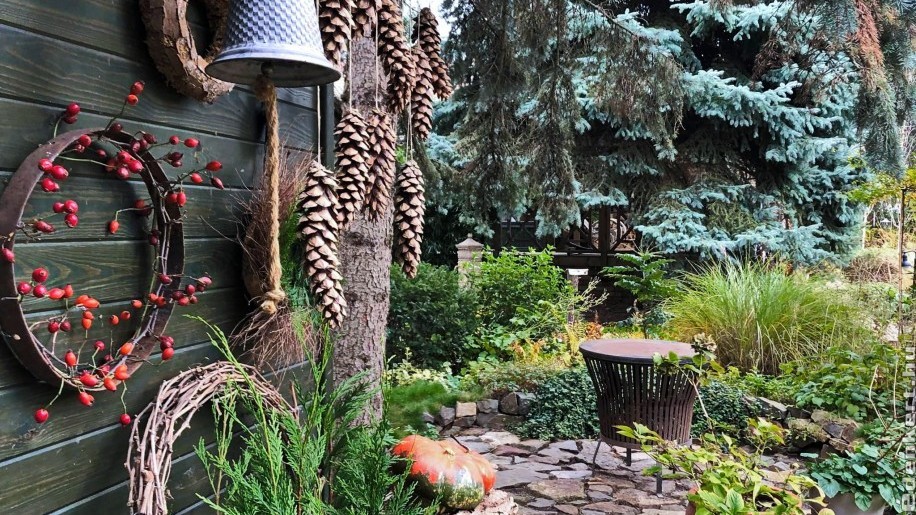 Édenkert.hu | Karácsony a titkos kertben